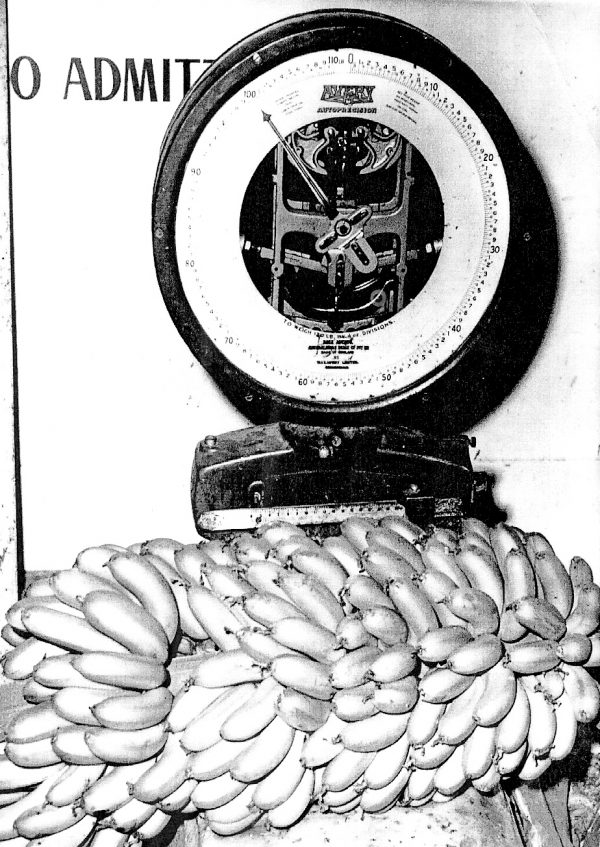 Dillon Family – The Gap Historical Society