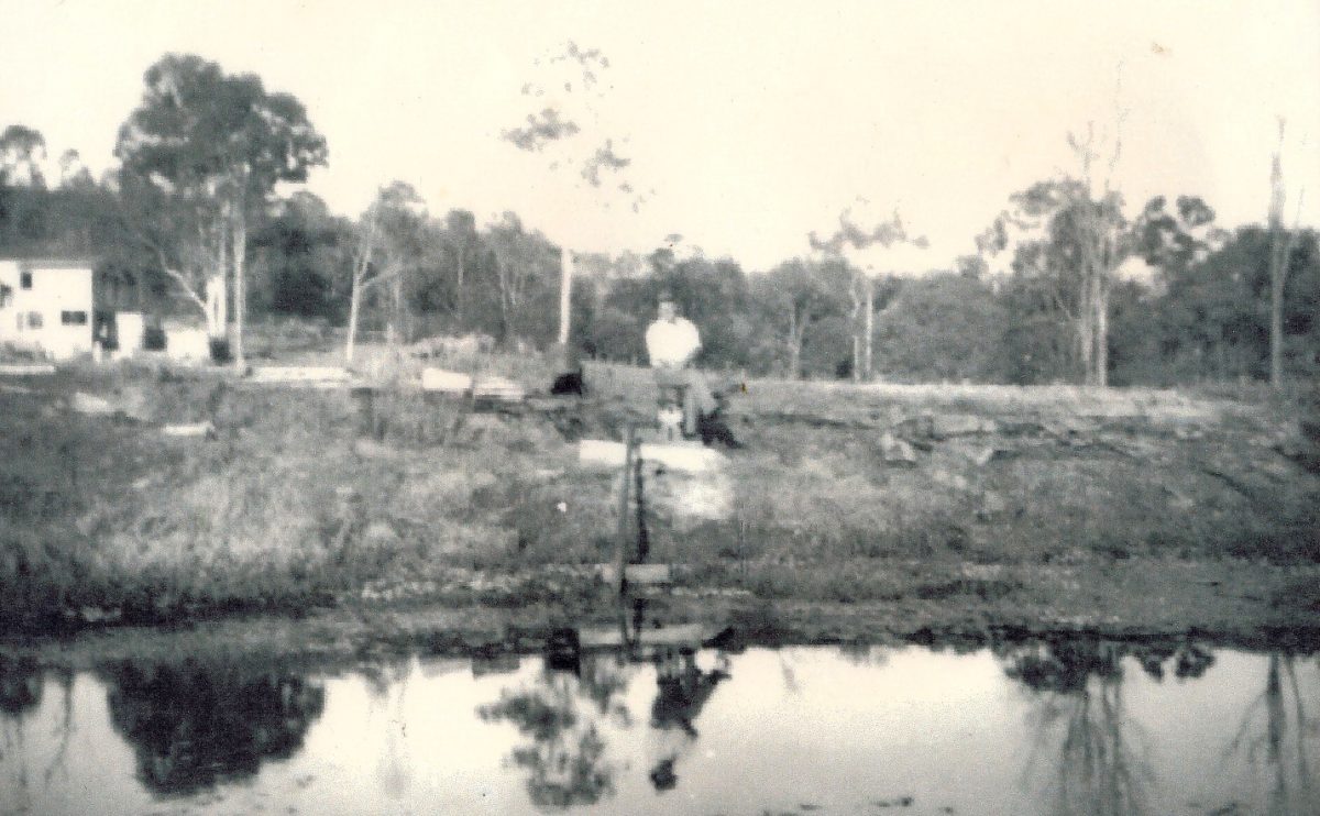 Proctor Dam – The Gap Historical Society